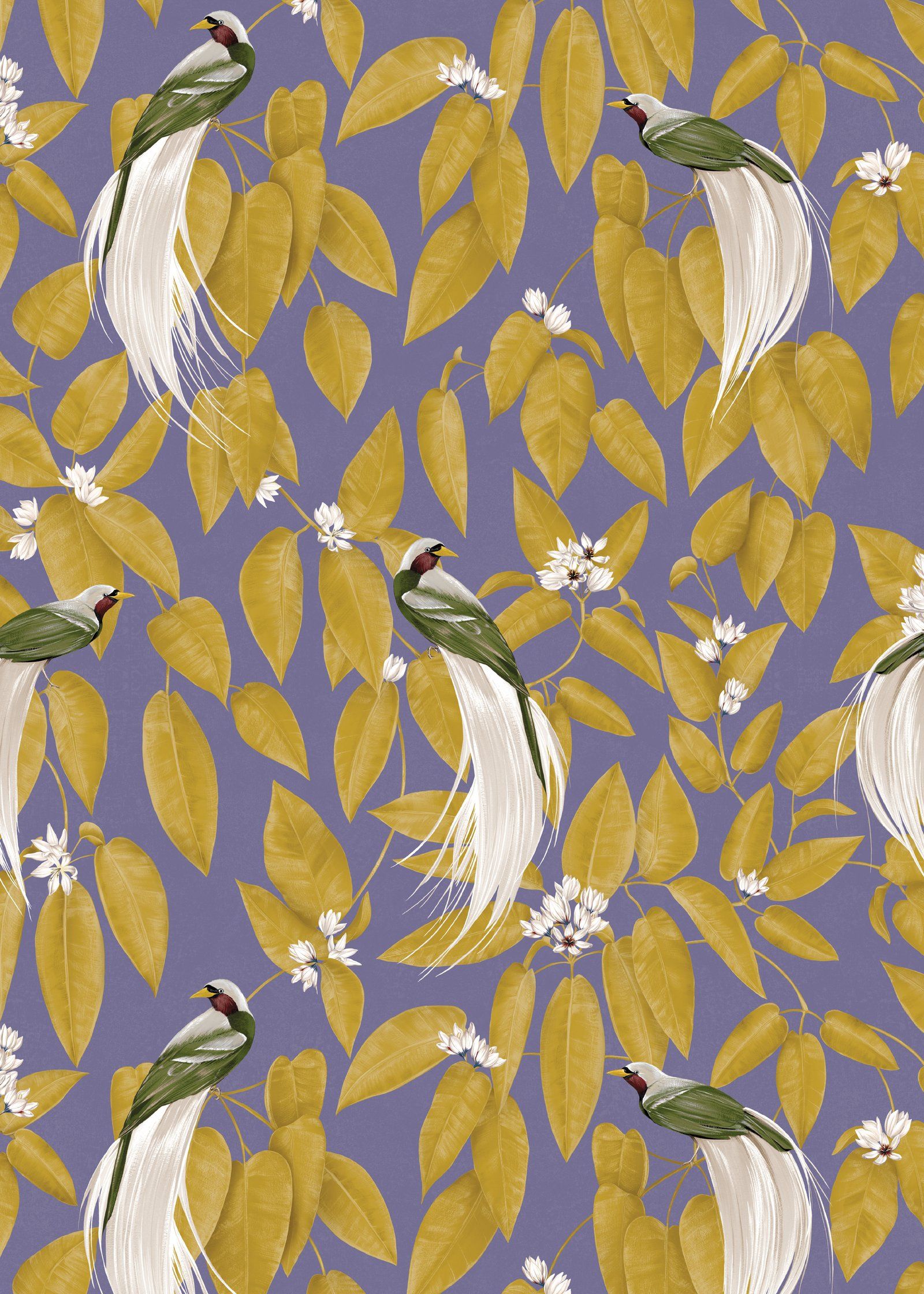 Lagom Design Cards & Gift Wrap Collaboration | Domestika